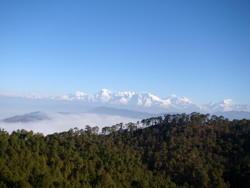 The Himalayas - All Here